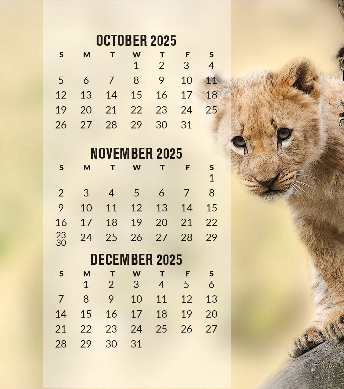Calendar Pad Magnets - Adorable Animals | Markful