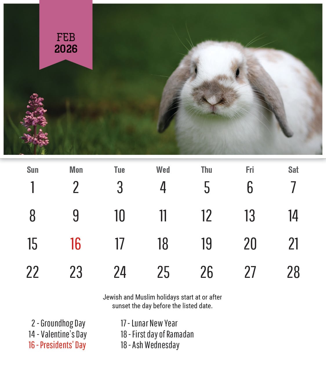 Calendar Pad Magnets - Adorable Animals | Markful