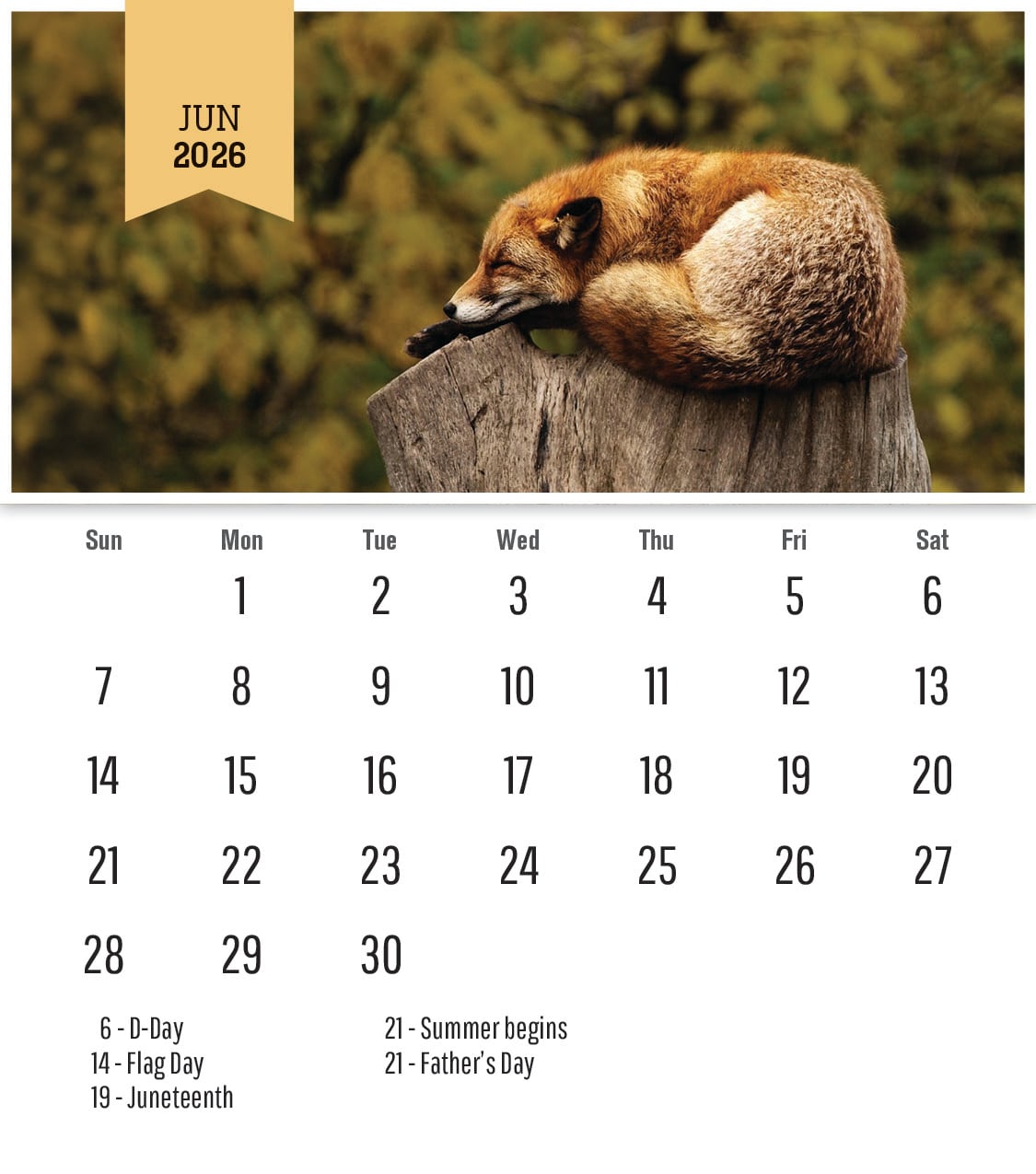Calendar Pad Magnets - Adorable Animals | Markful