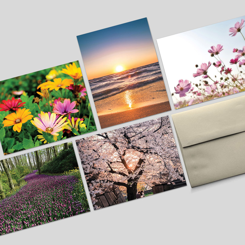 Note Card Set - Seasons - A Year in Focus | Markful